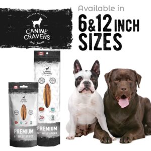 Canine Cravers Maplewood Smoked Bully Sticks 6” Inch - 100% Natural Free Range Grass Fed Beef - Made in Canada - Odor-Reduced Long Lasting, Rawhide Free Dog Chews High Protein Low Fat Dental Care