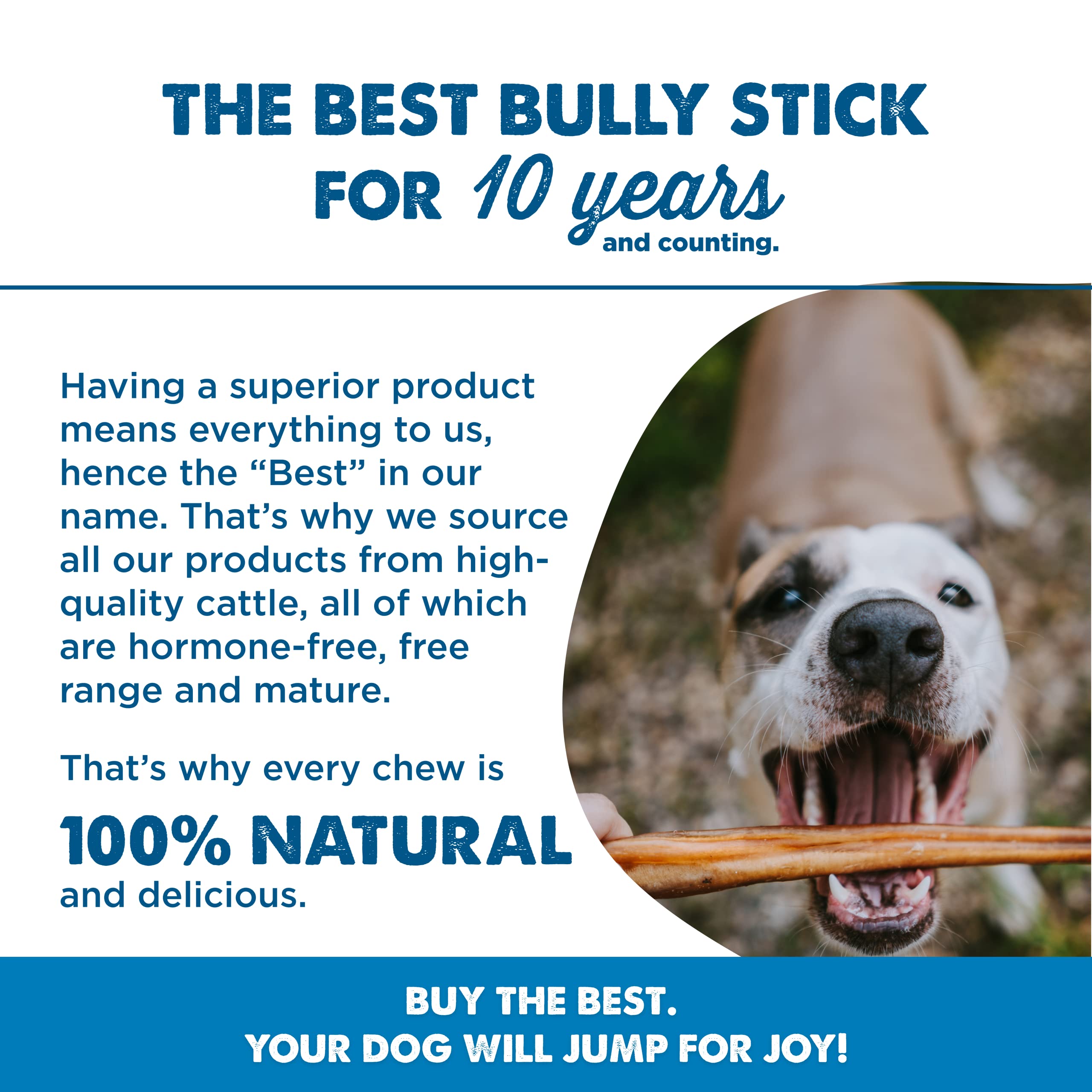 Best Bully Sticks Odorless 4-8 Inch Odor-Free Bully Sticks for Dogs - 100% Natural Grass-Fed Beef for Small, Medium, Large Dogs and Puppies - Grain and Rawhide Free Bully Stick Dog Chews | 8 oz