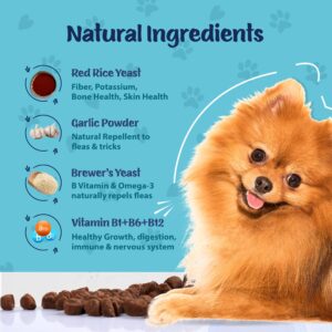 Texas Pet Company Natural Flea and Tick Prevention for Dogs Pills - Dog Flea and Tick Treatment Chewable Supplement - Oral Flea Treatment for Dogs Flea Pills Defense - All Breeds & Ages - Made in USA