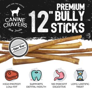 Canine Cravers Maplewood Smoked Bully Sticks 12” Inch - 100% Natural Free Range Grass Fed Beef - Made in Canada Odor-Reduced Long Lasting, Rawhide Free Dog Chews High Protein Low Fat Dental Care