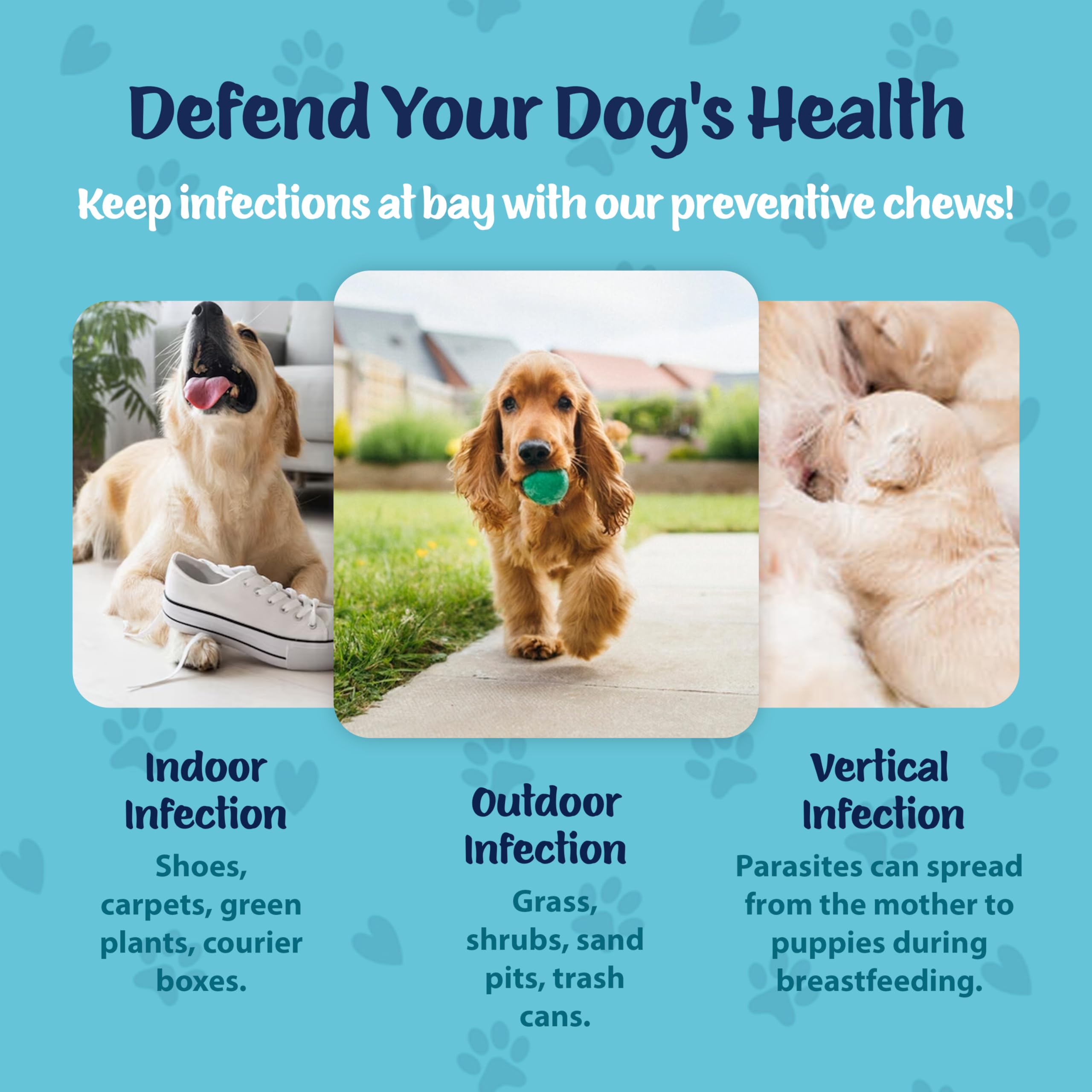 Texas Pet Company Natural Flea and Tick Prevention for Dogs Pills - Dog Flea and Tick Treatment Chewable Supplement - Oral Flea Treatment for Dogs Flea Pills Defense - All Breeds & Ages - Made in USA