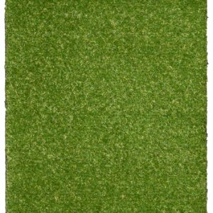 Garland Rug Puppy Pee Pad Artificial Grass Turf Rug, 24 in x 48 in, Green