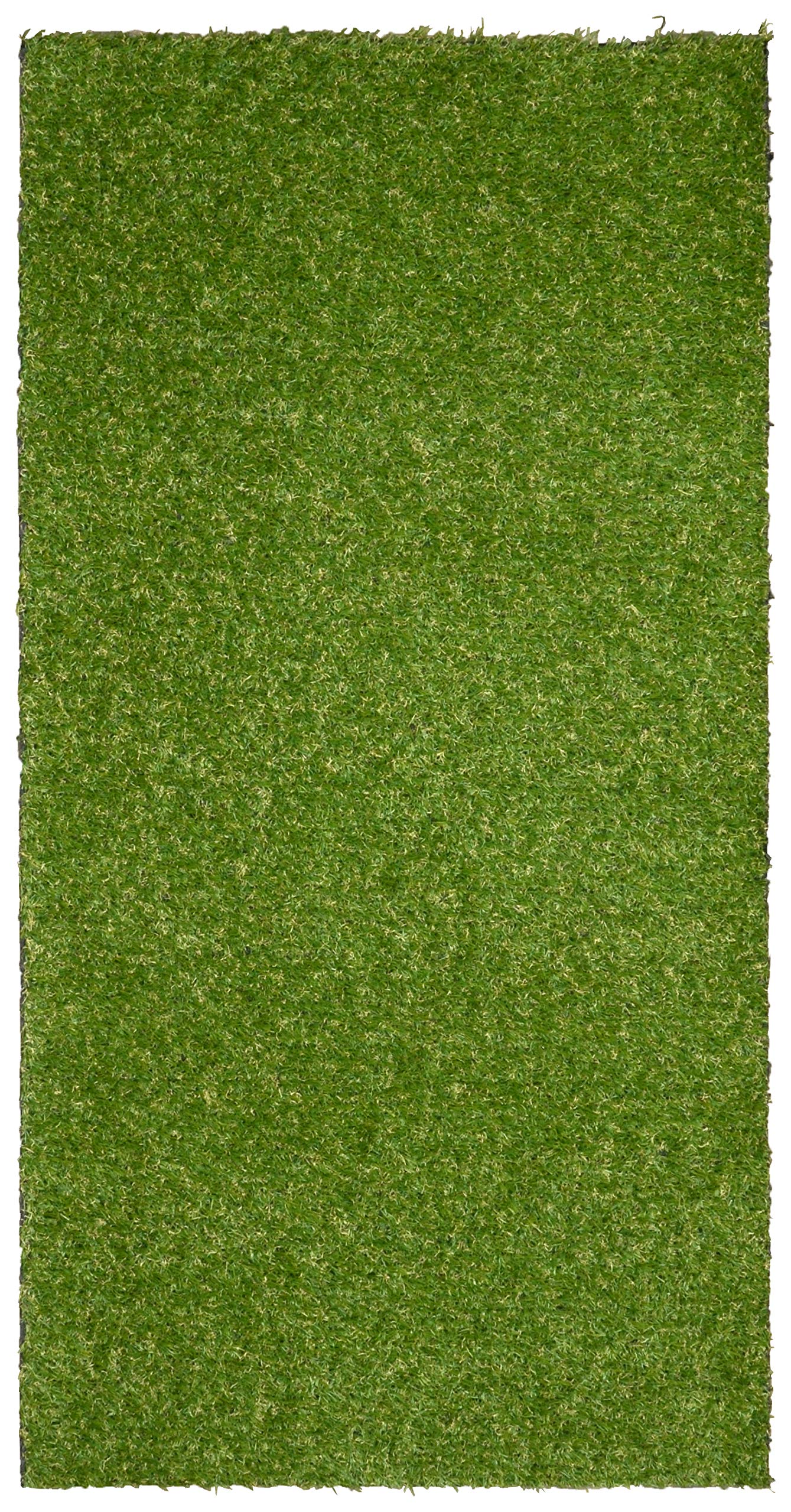 Garland Rug Puppy Pee Pad Artificial Grass Turf Rug, 24 in x 48 in, Green