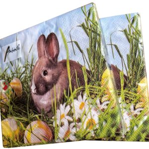 20-ct 13x13 Big Bunny Napkins Easter Napkins Easter Paper Napkins Easter Napkins for Decoupage Easter Napkins Paper Easter Cocktail Napkins Bunny Dinner Lunch Beverage Guest Napkins Disposable