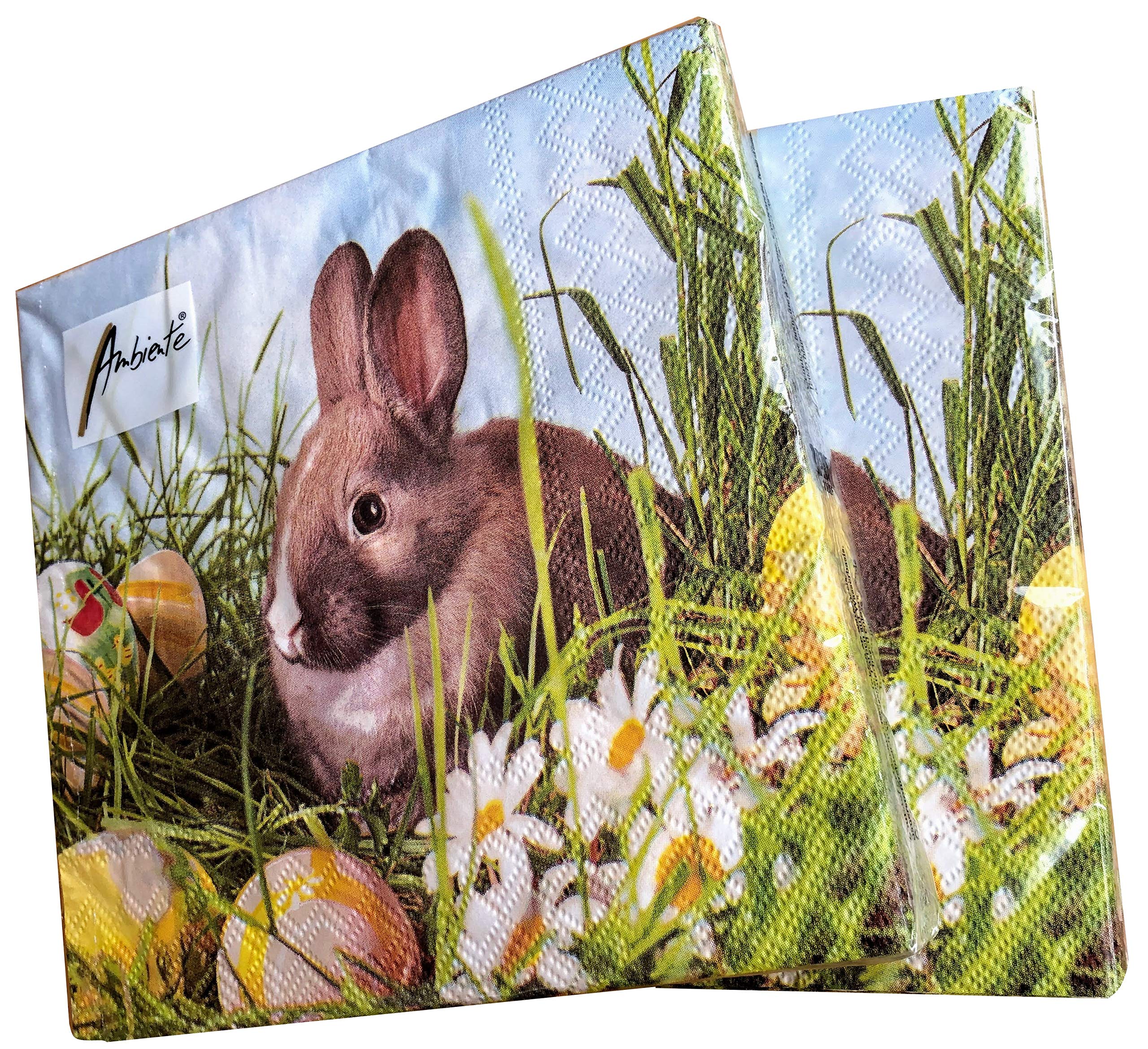 20-ct 13x13 Big Bunny Napkins Easter Napkins Easter Paper Napkins Easter Napkins for Decoupage Easter Napkins Paper Easter Cocktail Napkins Bunny Dinner Lunch Beverage Guest Napkins Disposable