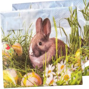 20-ct 13x13 Big Bunny Napkins Easter Napkins Easter Paper Napkins Easter Napkins for Decoupage Easter Napkins Paper Easter Cocktail Napkins Bunny Dinner Lunch Beverage Guest Napkins Disposable