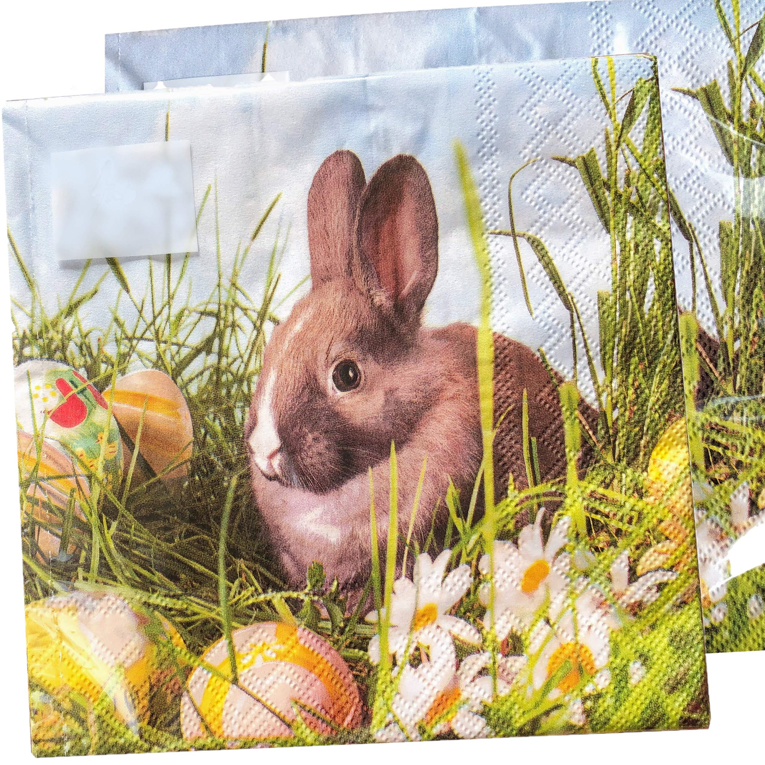 20-ct 13x13 Big Bunny Napkins Easter Napkins Easter Paper Napkins Easter Napkins for Decoupage Easter Napkins Paper Easter Cocktail Napkins Bunny Dinner Lunch Beverage Guest Napkins Disposable