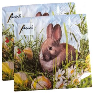 20-ct 13x13 big bunny napkins easter napkins easter paper napkins easter napkins for decoupage easter napkins paper easter cocktail napkins bunny dinner lunch beverage guest napkins disposable