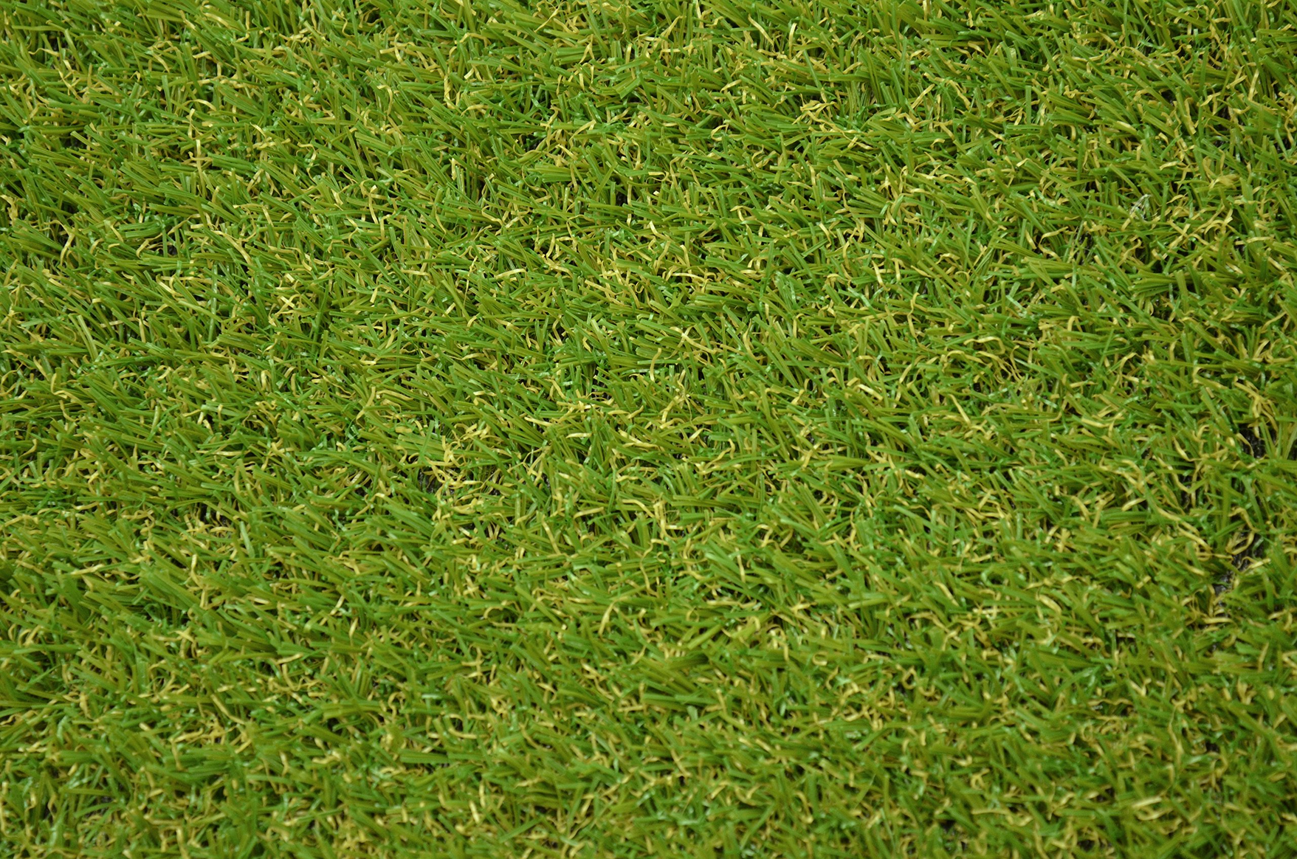 Garland Rug Puppy Pee Pad Artificial Grass Turf Rug, 24 in x 48 in, Green