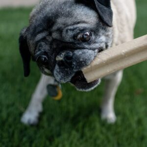 Loving Pets Yummy Bones - Peanut Butter Flavor Filled Bones for Dogs (for Toy/Small Dogs 1-20 lbs)