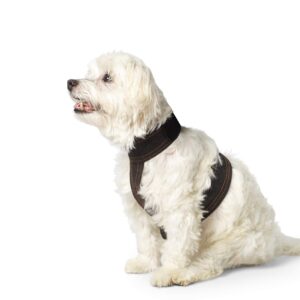 Calmer Canine - Small Convenience Vest for Use with The Anxiety Treatment Device for Dogs (Device Not Included)