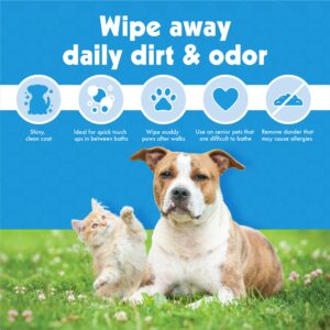 Petkin Pet Wipes for Dogs and Cats, 400 Wipes - Large Pet Wipes for Dogs and Cats - Cleans Ears, Face, Butt, Body and Eye Area - Convenient, Ideal for Home or Travel - 4 Packs of 100 Wipes