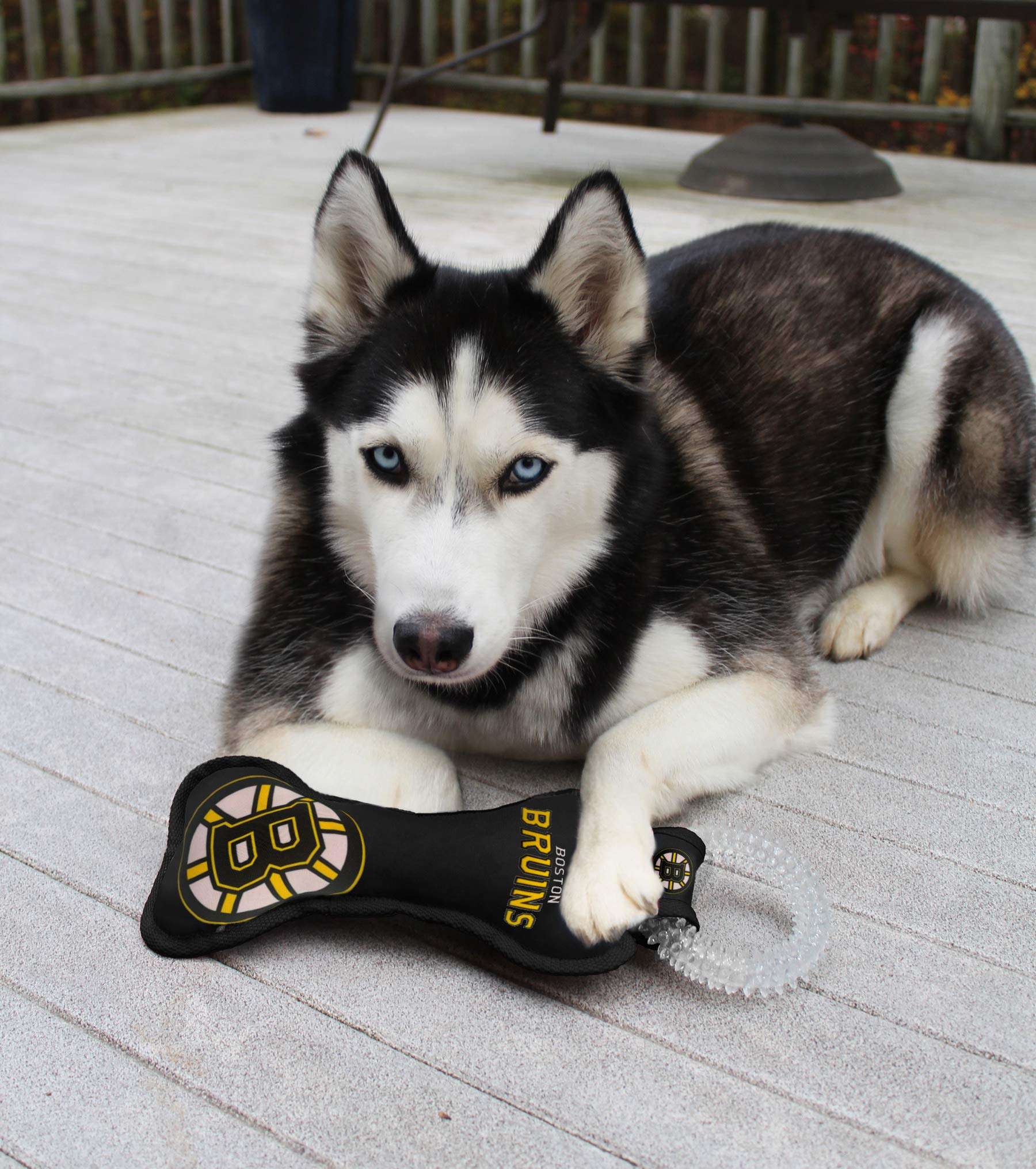 Pets First NHL Boston Bruins Dental Dog TUG Toy with Squeaker. Tough PET Toy for Healthy Fun, Teething & Cleaning Pet's Teeth & Gum., Team Color, one Size (BRU-3310)