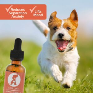 Stirling Powerful Hemp Oil for Dogs and Cats - Helps Relieve Pain and Sore Muscles - Reduces Dog and Cat Separation Anxiety - Calming - Relief - No Drowsiness - 250mg