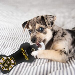 Pets First NHL Boston Bruins Dental Dog TUG Toy with Squeaker. Tough PET Toy for Healthy Fun, Teething & Cleaning Pet's Teeth & Gum., Team Color, one Size (BRU-3310)