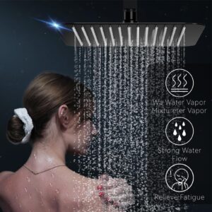 SR SUN RISE 12 Inch Rain Shower Head 304 Stailess Steel Matte Black High Pressure Rainfall Showerhead Water Saving