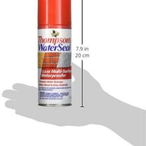 Thompsons TH.010100-18 Clear Multi-Surface Aerosol Waterproofer (Тwo Рack)