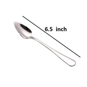 Choary 4 piece colorful Grapefruit Spoons 6.5 inch Metal Stainless Steel Grapefruit Spoons stainless steel spoon for dessert fruit and salad