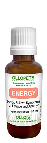 OLLOPETS Energy, Organic Homeopathic Remedy for All Pets, 1 Fl Ounce