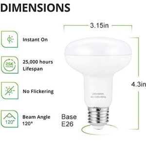 Small frog Floodlight Indoor BR25 Led Bulbs - 9W, Replace 75W Incandescent, 2700K Warm White 900LM Dimmable E26 Light Bulbs for Home Lighting, Pack of 4