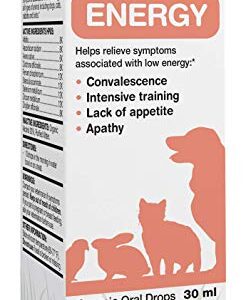 OLLOPETS Energy, Organic Homeopathic Remedy for All Pets, 1 Fl Ounce