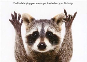 designer greetings raccoon doing 'rock on' hand symbol funny/humorous birthday card