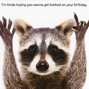 Designer Greetings Raccoon Doing 'Rock On' Hand Symbol Funny/Humorous Birthday Card