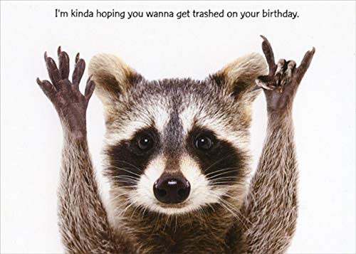 Designer Greetings Raccoon Doing 'Rock On' Hand Symbol Funny/Humorous Birthday Card