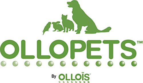 OLLOPETS Energy, Organic Homeopathic Remedy for All Pets, 1 Fl Ounce