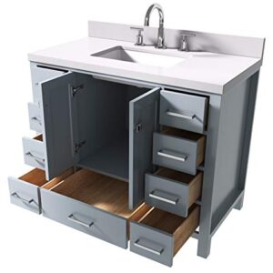 ARIEL Bathroom Vanity 43" Inch in Grey with Pure White Quartz Countertop, Rectangular Sink, 2 Soft Closing Doors and 9 Full Extension Dovetail Drawers, No Mirror