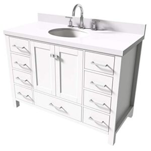 ARIEL Bathroom Vanity 49" Inch in White with Pure White Quartz Countertop, Oval Sink, 2 Soft Closing Doors and 9 Full Extension Dovetail Drawers, No Mirror