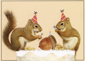 designer greetings squirrels with birthday candle on acorn funny/humorous birthday card