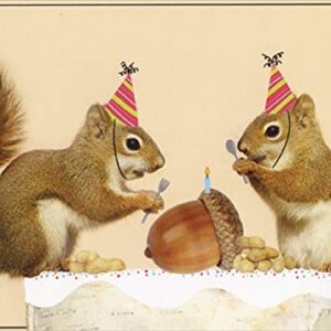 Designer Greetings Squirrels with Birthday Candle on Acorn Funny/Humorous Birthday Card