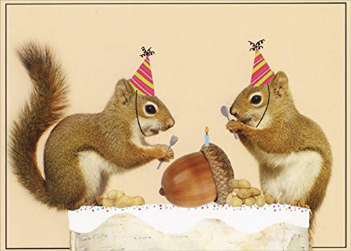 Designer Greetings Squirrels with Birthday Candle on Acorn Funny/Humorous Birthday Card