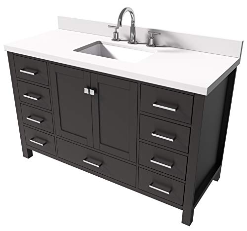 ARIEL Bathroom Vanity 55" Inch in Espresso with Pure White Quartz Countertop, Rectangular Sink, 2 Soft Closing Doors and 9 Full Extension Dovetail Drawers, No Mirror