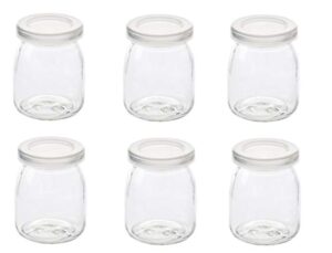 dailydanny 6 pcs yogurt pudding jars bottles with plastic lids ideal for jam, honey, wedding favors, shower favors, baby foods (7 oz (200ml))