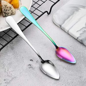 Choary 4 piece colorful Grapefruit Spoons 6.5 inch Metal Stainless Steel Grapefruit Spoons stainless steel spoon for dessert fruit and salad