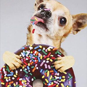 Designer Greetings Dog Licks Sprinkles Off Big Donut Funny/Humorous Feminine Birthday Card for Her : Woman : Women