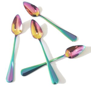 Choary 4 piece colorful Grapefruit Spoons 6.5 inch Metal Stainless Steel Grapefruit Spoons stainless steel spoon for dessert fruit and salad