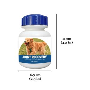 CoCoo Dog, Ferret & Rabbit Glucosamine, Joint Recovery Chewable Tablets, 180 Flavored Tablets, Improves Flexibility & Mobility