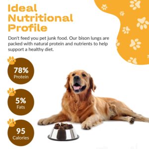 Dog Chits Bison Lung Fillets Dog and Puppy Treats - All Natural Grain and Chemical Free Training Chews - High Protein and Low Fat - Supports Dental Health - Made in The USA - Large 10 oz Bag