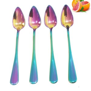 Choary 4 piece colorful Grapefruit Spoons 6.5 inch Metal Stainless Steel Grapefruit Spoons stainless steel spoon for dessert fruit and salad