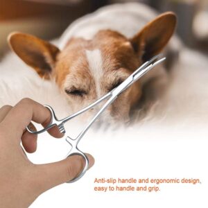 Pet Dog Cat Ear Hair Tweezers, Professional Stainless Steel Dogs Ear Hair Cleaning Clamp Ear Hair Remover Dog Grooming Tools Pet Dog Trimmer Accessories (Big)