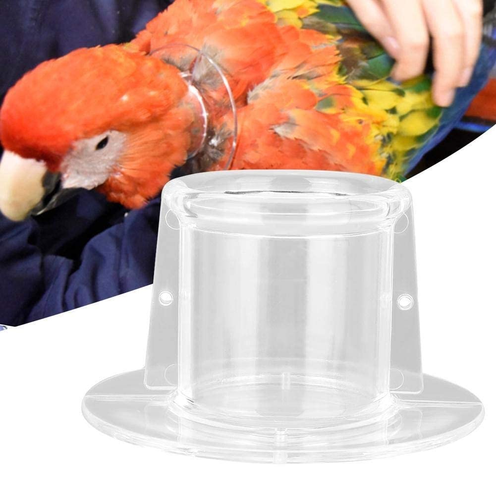 Pet Parrot Anti-bite Picking Wound Healing Protective Neck Cover Collar Adjustable Recovery Pet Recovery Collar Recovery Pet Cone for Bird Collar Wound Healing Practical