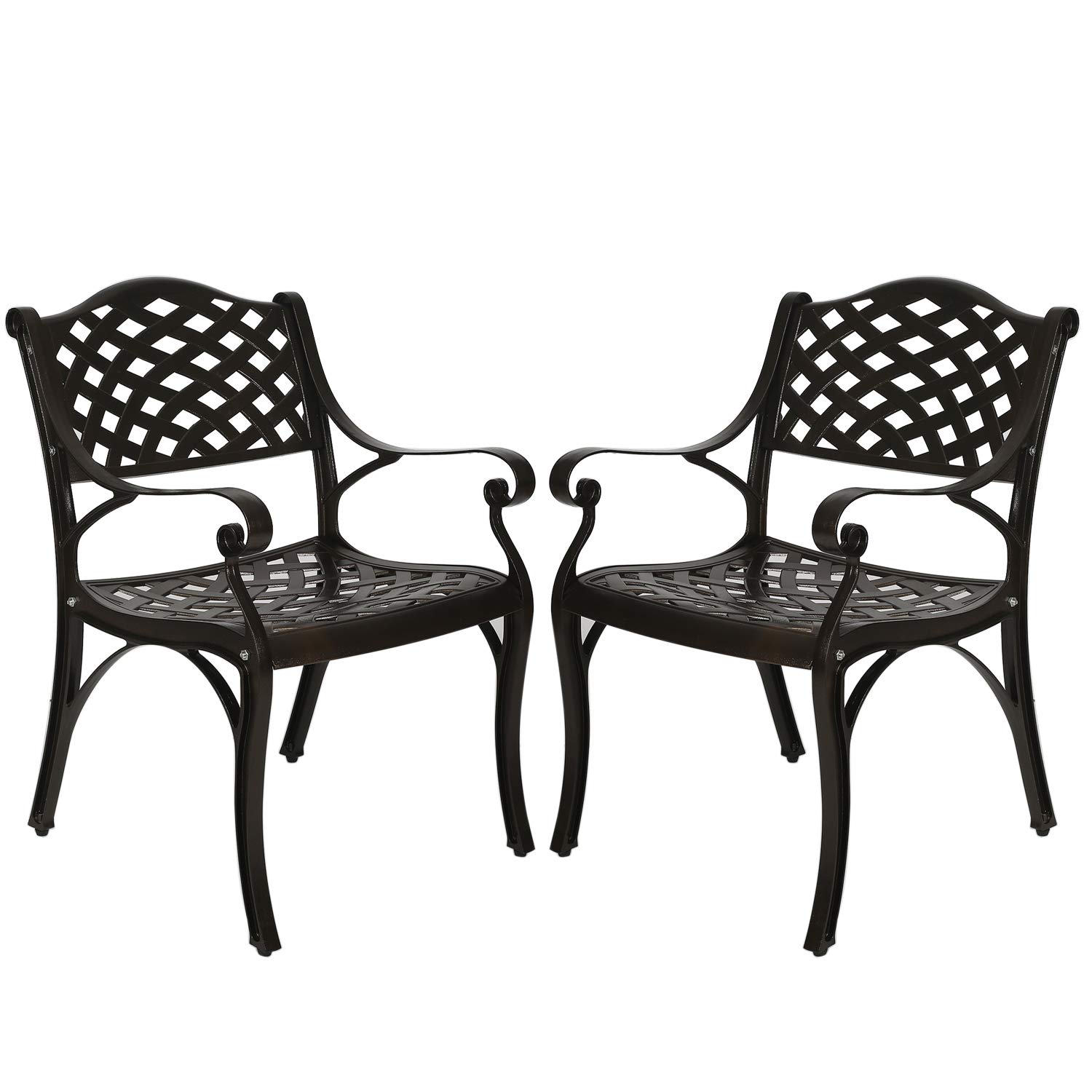 YUSING Outdoor Dining Chairs Set of 2,Patio Dining Chairs,Cast Aluminum Metal Arm Chairs for Kitchen,Garden,Backyard