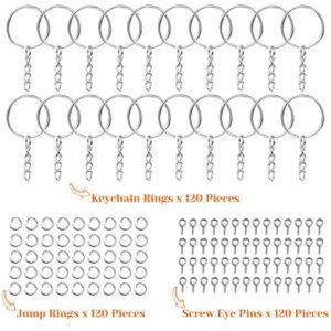 Audab 360Pcs Keychain Bulk, 120Pcs Keychain Rings with Chain and 120Pcs Open Jump Ring with 120Pcs Screw Eye Pins for Crafts and Jewelry Making