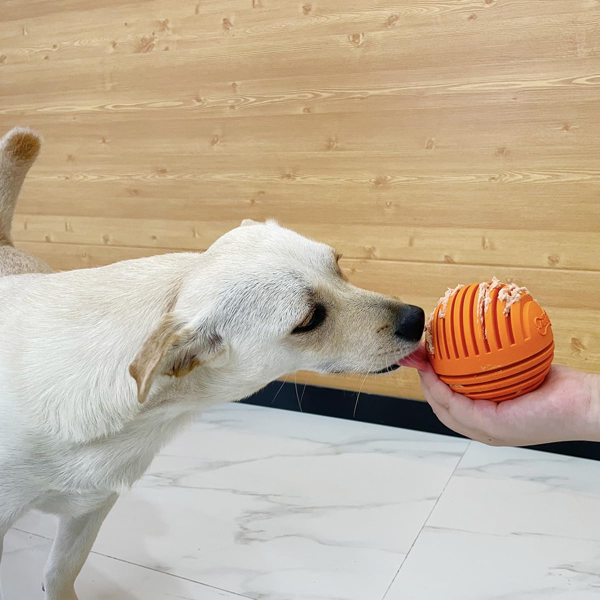 LaRoo Dog Feeder Puzzle Toy Ball, Natural Rubber Dog Chew Toy Snack Dispenser, Bite Resistant Interactive Dog Toy Treat Dispensing Aggressive Chewers for Small Medium Large Dog (9cm Ball Orange)