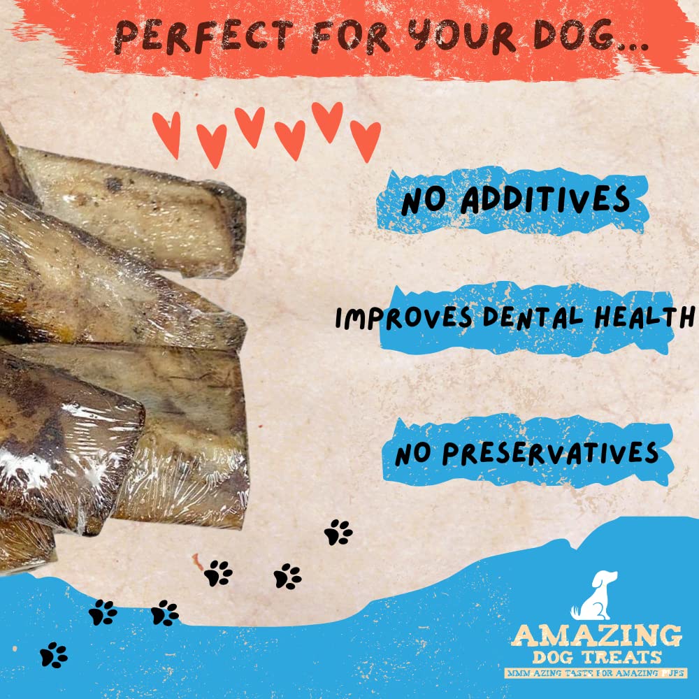 Amazing Dog Treats - Meaty Smoked Rib Bones (10 Count Pack) - Rib Bones for Dogs - Natural Smoked Grass Fed Cattle Rib Bone Dog Chew - Tasty Dog Bone Treat