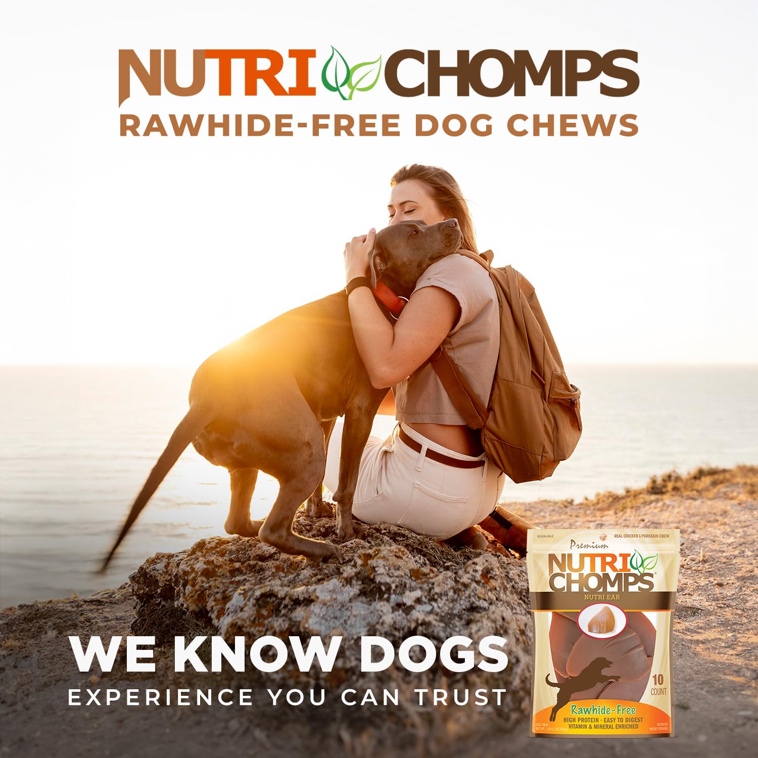 NutriChomps Dog Chews, Ear-Shaped, Easy to Digest, Rawhide-Free Dog Treats, 10 Count, Real Chicken flavor