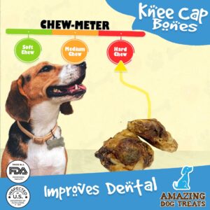 Amazing Dog Treats - Meaty Knee Cap Bones (5 Count) - Sourced from Premium Grass Fed Cattle - Knee Cap Bones for Dogs - Long Lasting Dog Chew Bones - Smoked Tasty Dog Bones for Aggressive Chewers